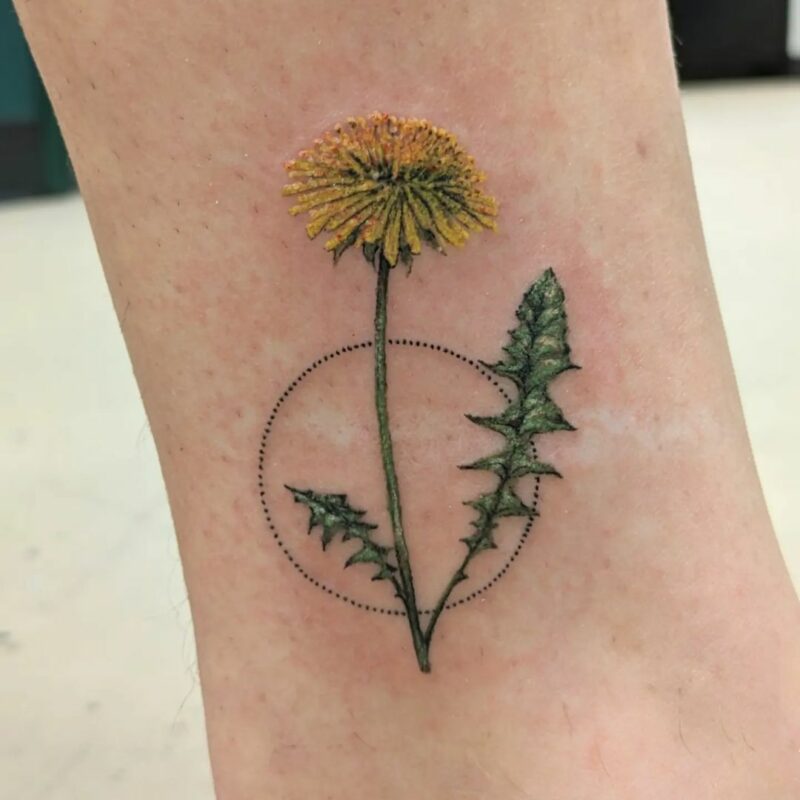 20 Adorable Dandelion Tattoo Ideas To Give You Hope and Strength