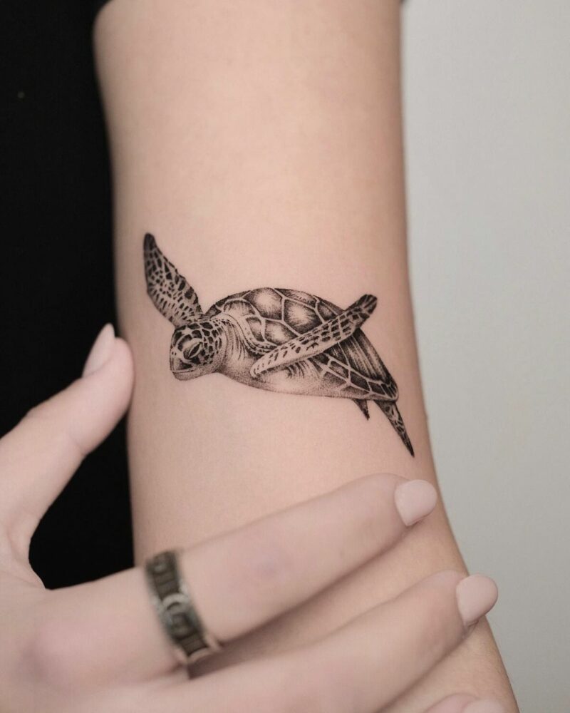 22 Snappy Sea Turtle Tattoos Guaranteed To Make A Splash