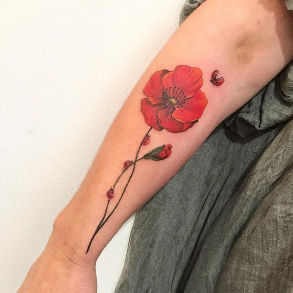 22 Pretty Poppy Flower Tattoos We Can’t Stop Staring At
