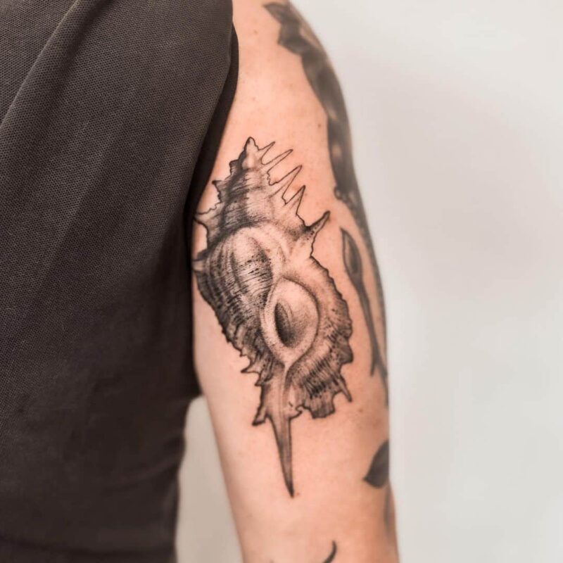 Shell Tattoo Meanings And 25 Jaw-Dropping Design Ideas
