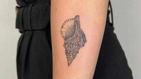 Shell Tattoo Meanings And 25 Jaw-Dropping Design Ideas