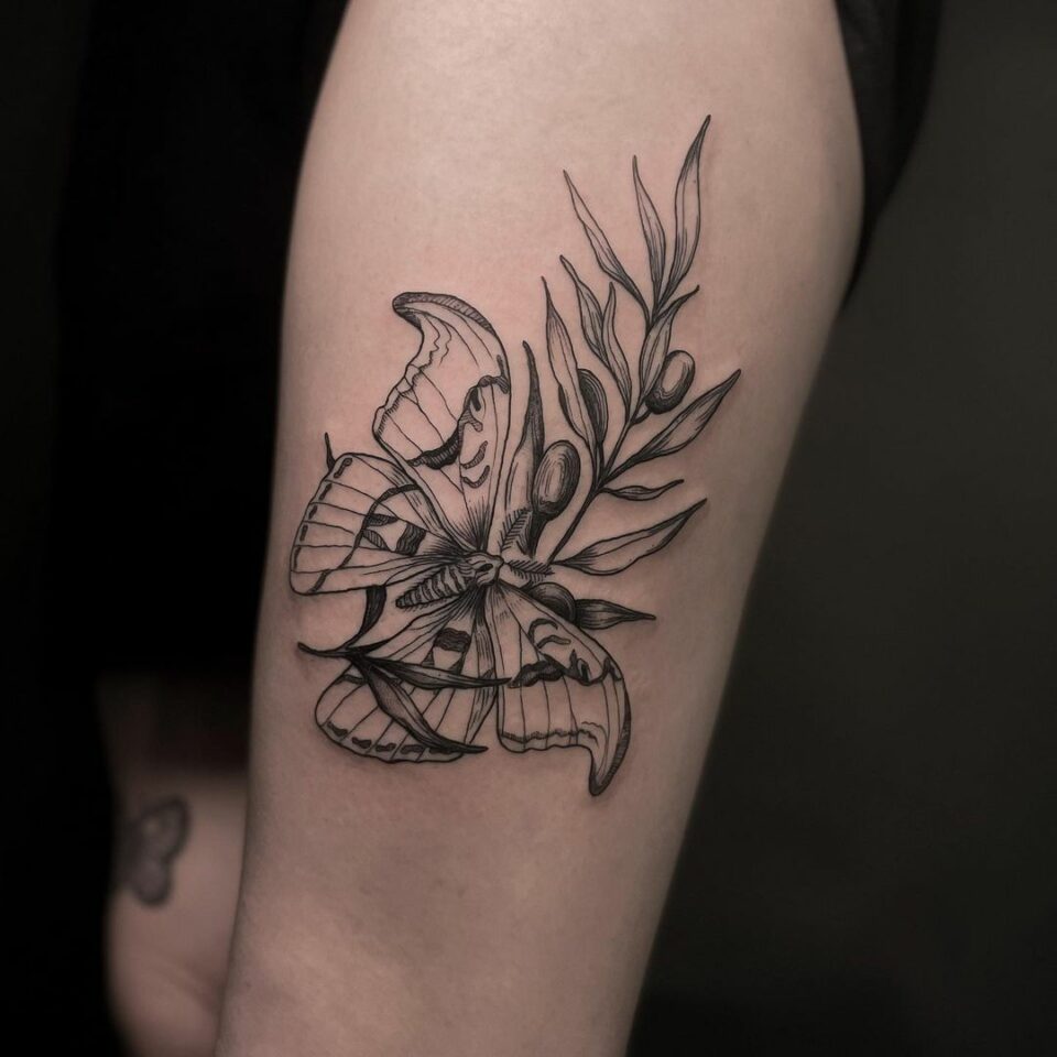 20 Creative Olive Tree Tattoo Ideas For Peace And Harmony