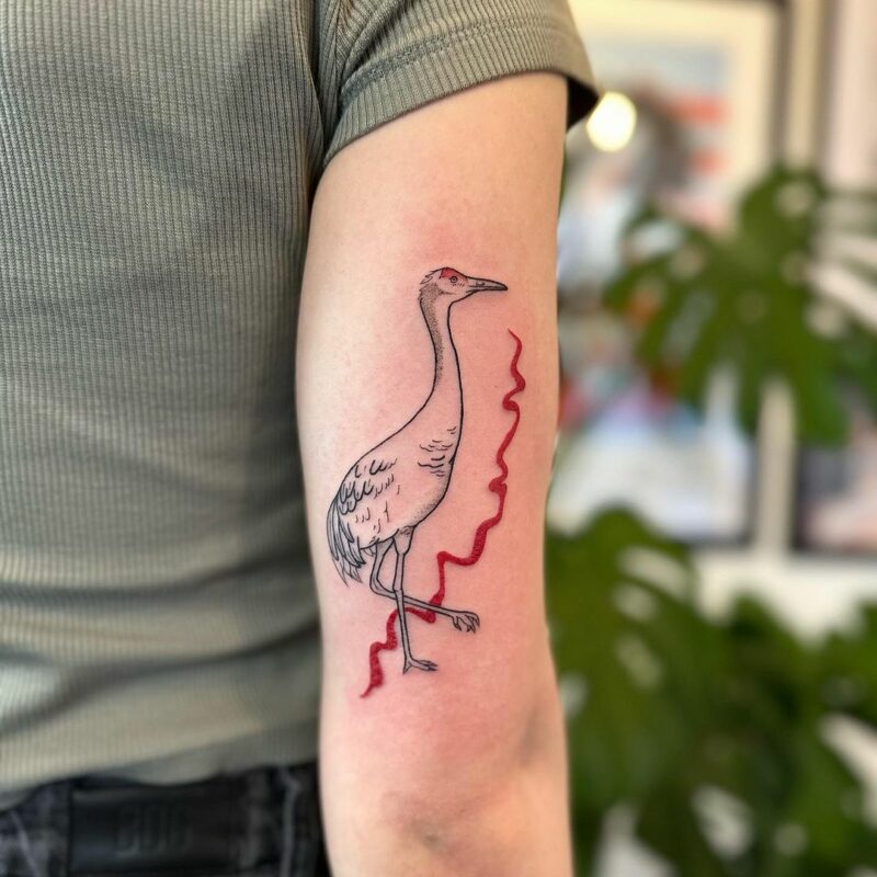 20 Fascinating Crane Tattoo Ideas And Their Meanings