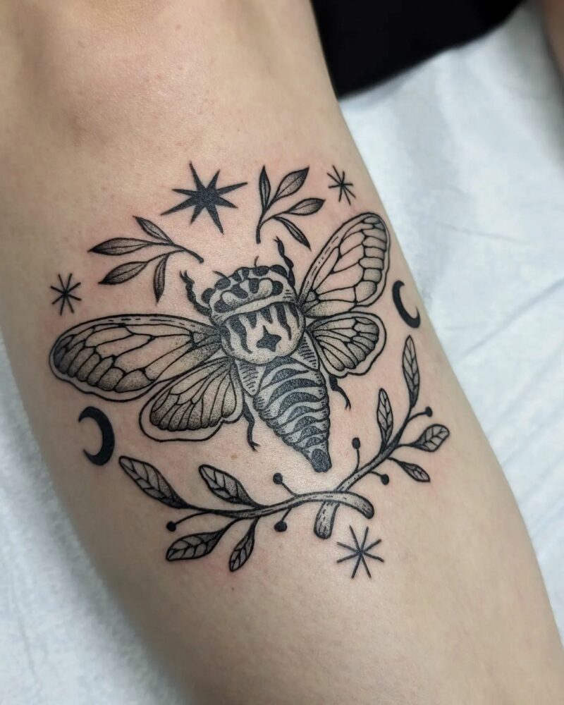 20 Cicada Tattoo Ideas That Will Have You Buzzing With Style