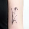 20 Iris Tattoo Ideas That Are Simply Petal Perfect