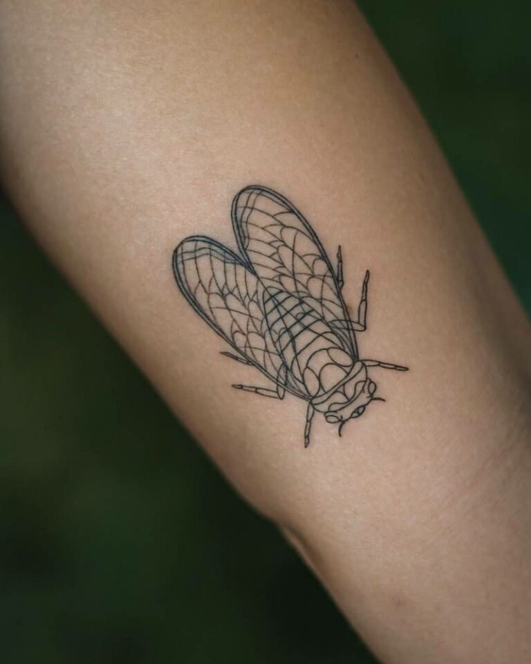 20 Cicada Tattoo Ideas That Will Have You Buzzing With Style