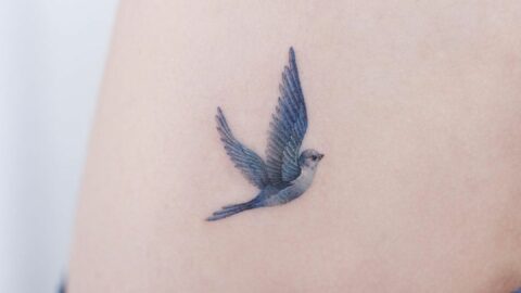 20 Bluebird Tattoo Designs That Capture The Beauty Of Flight