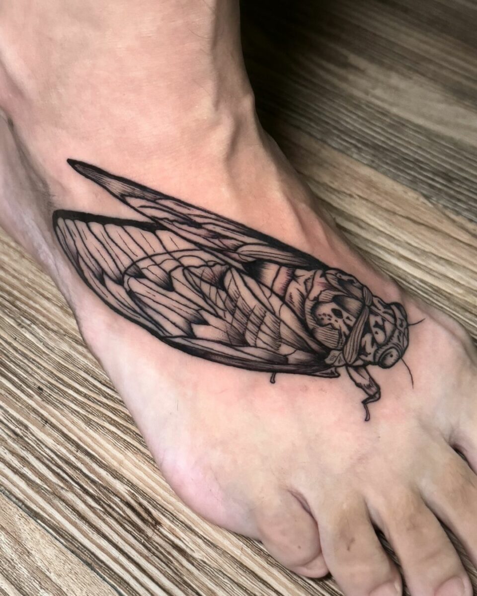 20 Cicada Tattoo Ideas That Will Have You Buzzing With Style