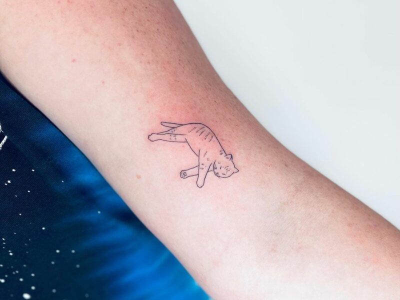 18 Meow-tastic Cat Outline Tattoos To Adore