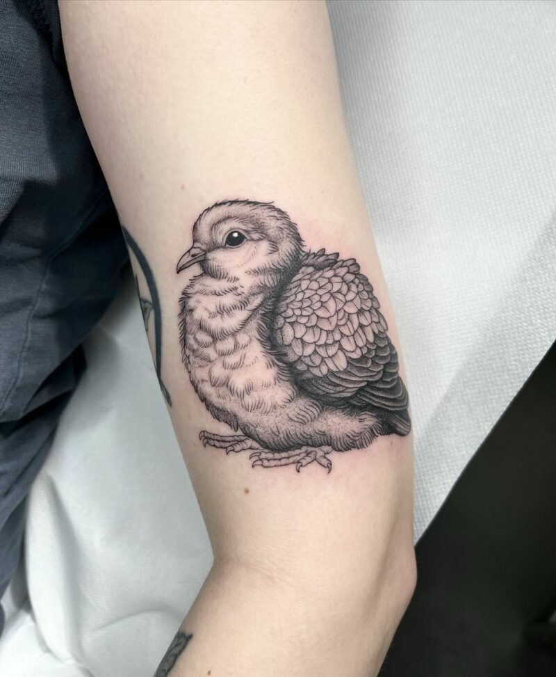 18 Inspiring Dove Tattoos To Express Your Inner Serenity