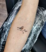 20 Creative And Sweet Robin Tattoo Ideas To Wing-Press Anyone