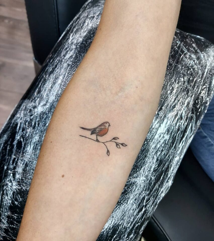 20 Creative And Sweet Robin Tattoo Ideas To Wing-Press Anyone